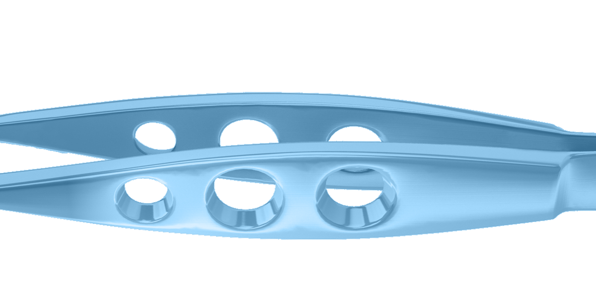 7-0201T Kansas-Alfonso Nucleus Fragment Removing Forceps, with Teeth ...